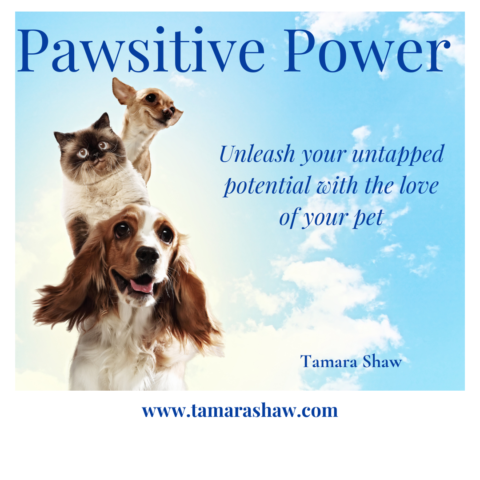 Pawsitive Power – Shaw Human Animal Healing
